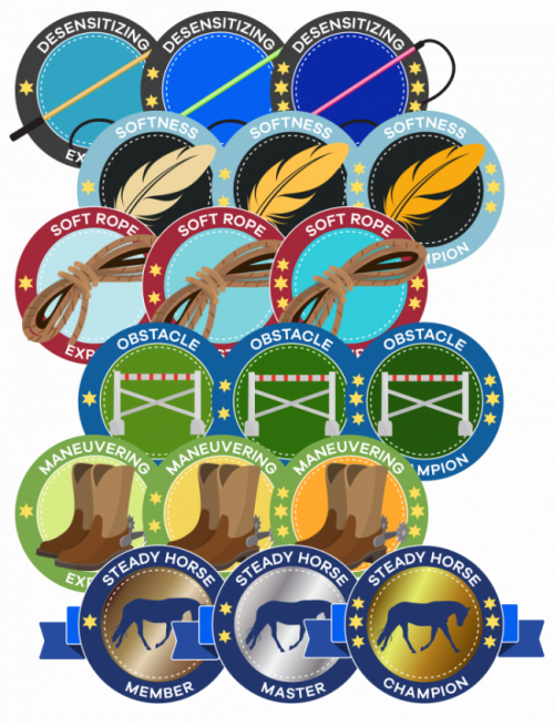 STEADY HORSE – RTY Design